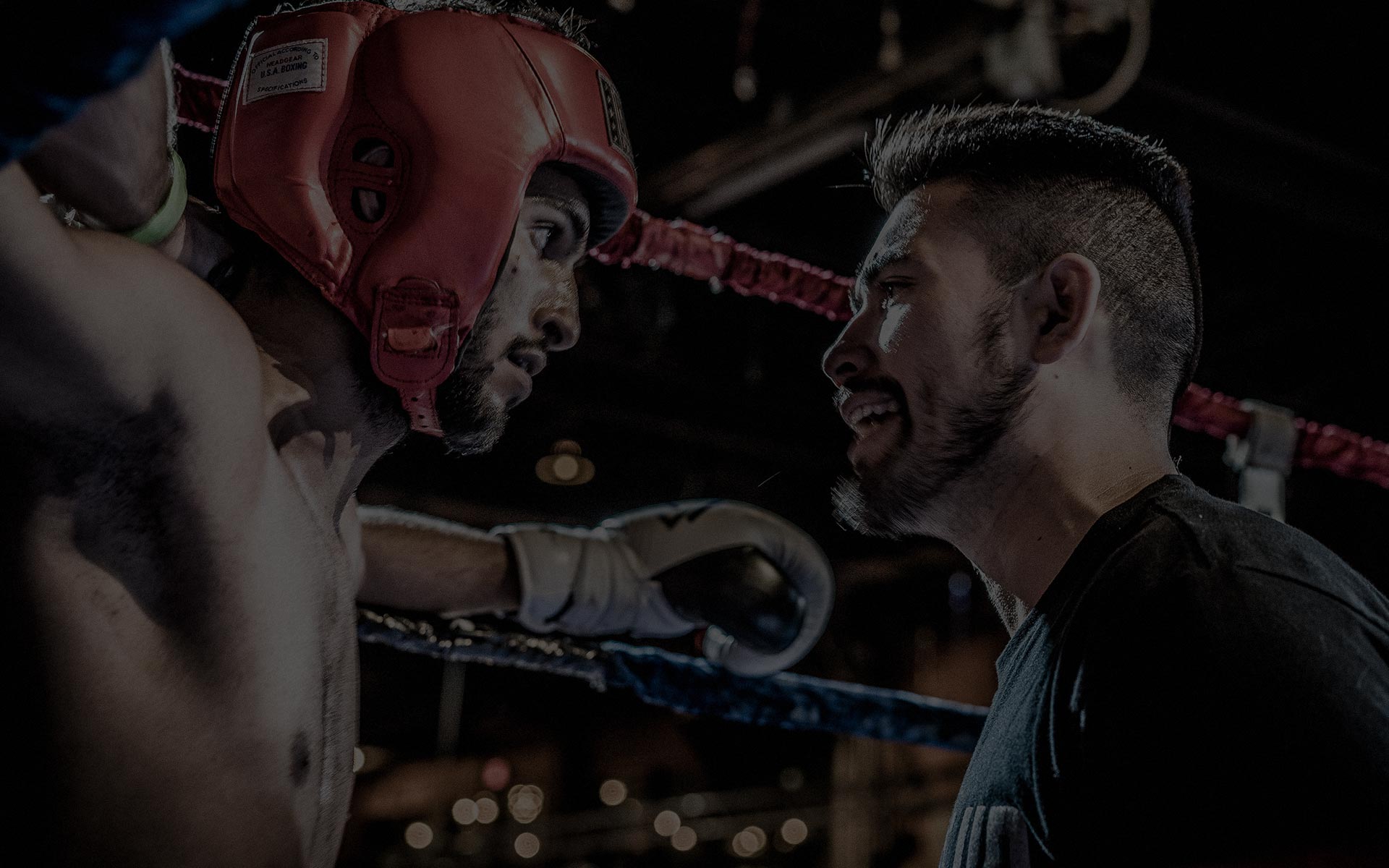 whitecollarboxingchampionships